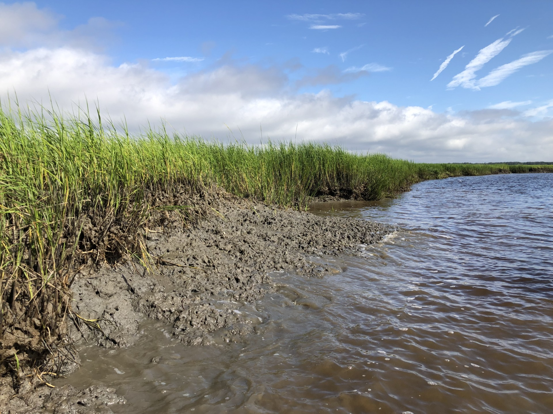 COASTAL CONCERN | Tribune & Georgian, St. Marys, Georgia